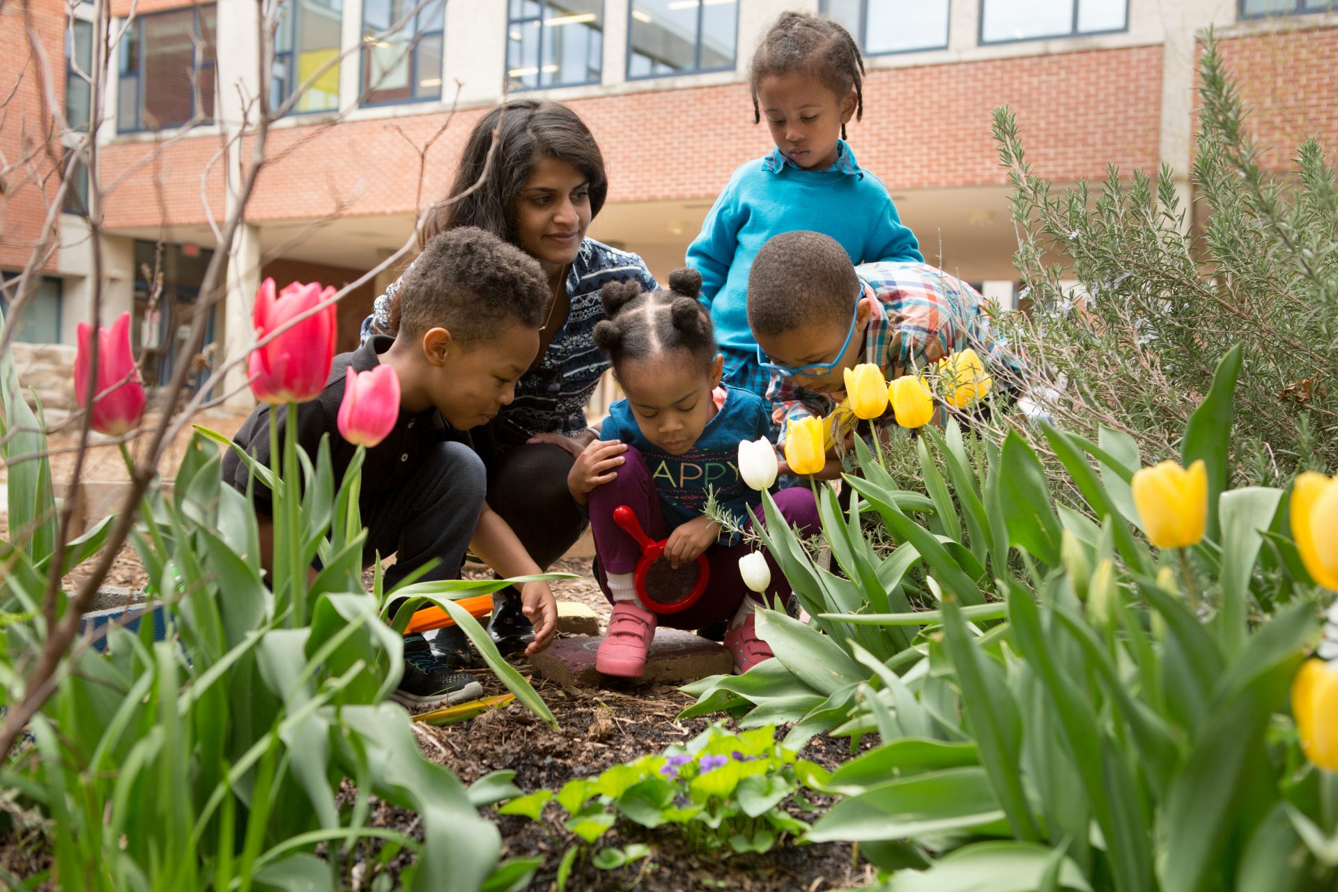 SEL in Communities - CASEL